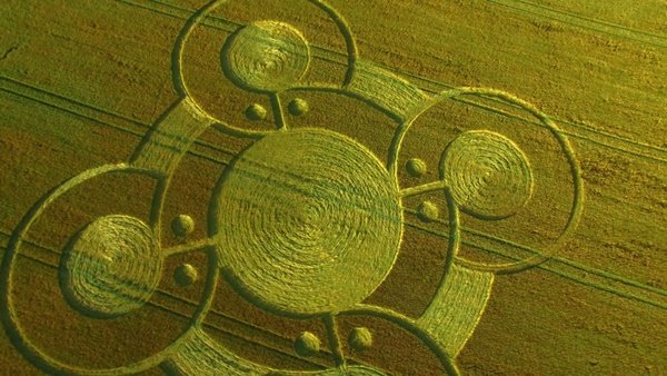 Internacional - Video: ¿Qué son los agroglifos? Así fueron captados en ...